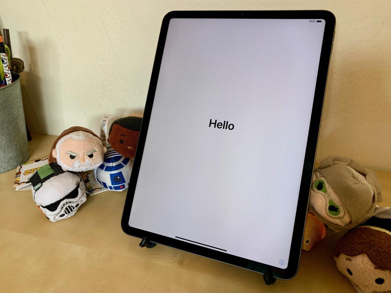 How To Set Up Your New Ipad The Right Way - BoticaSoft